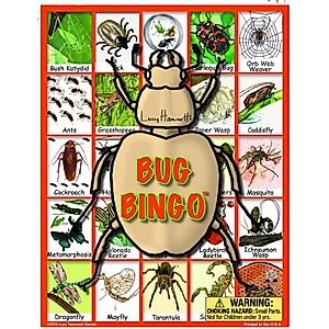 Lucy Hammett Games Bug Bingo