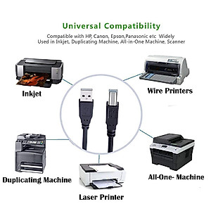 RiteAV 6 inch USB 2.0 A Male to B Male Cable - Black