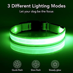 VIZPET LED Dog Collar USB Rechargeable 100% Waterproof Adjustable Light Up Dog Collar Super Bright Safety Light Glowing Collars for Dogs (Green, Medium)