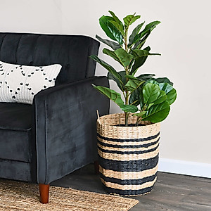 Household Essentials Cattail and Paper Multi Band Basket, Natural and Black