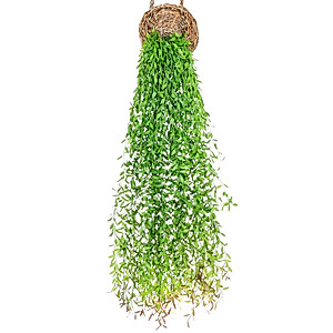 Lvydec 6pcs Artificial Vines Fake Greenery Garland Willow Leaves with Total 30 Stems Hanging for Wedding Party Home Garden Wall Decoration