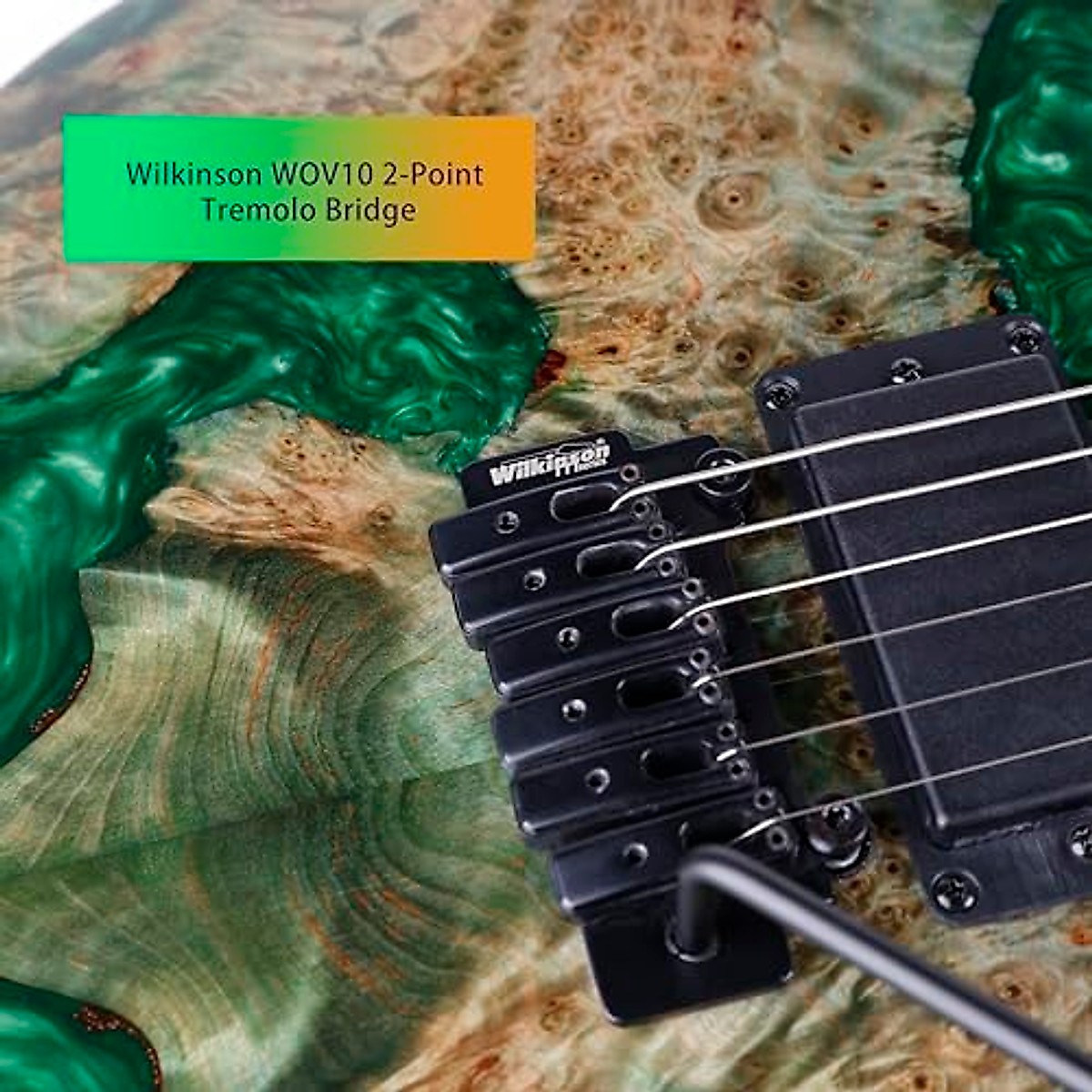 Leo Jaymz Electric Guitar Tempest Series - Mahogany Body and Burl Top,Maple Neck and Rosewood Fingerboard,Alnico V active Pickups,Wilkinson 2-point Temolo Bridge (Architect)