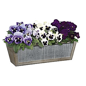 Classic Home and Garden Wood Window Box - Galvanized Accent