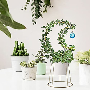 Ceiner 2PCS Small Crescent Moon Plant Trellis, Metal Mini Hoya Support for Indoor Potted Houseplants, Climber with Healing Agate for Hoya Vine Pothos Ivy Philodendron Garden Pot Cliambing Decor…