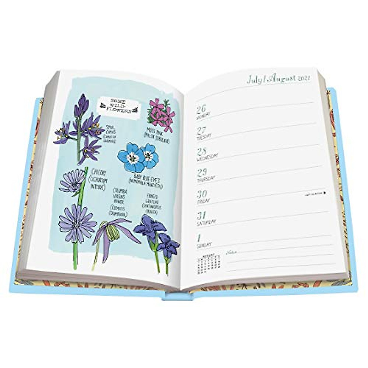 Julia Rothman: Farm, Food, Nature Engagement Calendar 2021