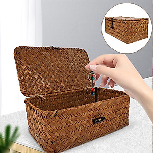 Gatuida Rectangular Wicker Baskets with Lids, Seagrass Storage Baskets with Button Multipurpose Container for Desktop,Size S