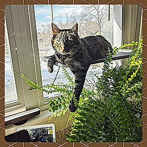 All Around 360° Sunbath and Lower Support Safety Iron Cat Window Perch, Cat Hammock Window Seat for Any Cats (L, Grey)