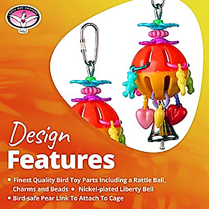Super Bird Creations SB1086 Having a Ball Bird Toy, Small/Medium Bird Size, 6" x 2" x 2"