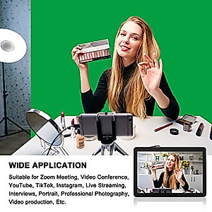 Green Screen Backdrop with Stand Kit, 5.2 X 6.5 FT Chromakey GreenScreen Photography Background with Adjustable T-Shaped Stand & 4 Clamps for Photoshoot Video Streaming Gaming Zoom Online Meeting