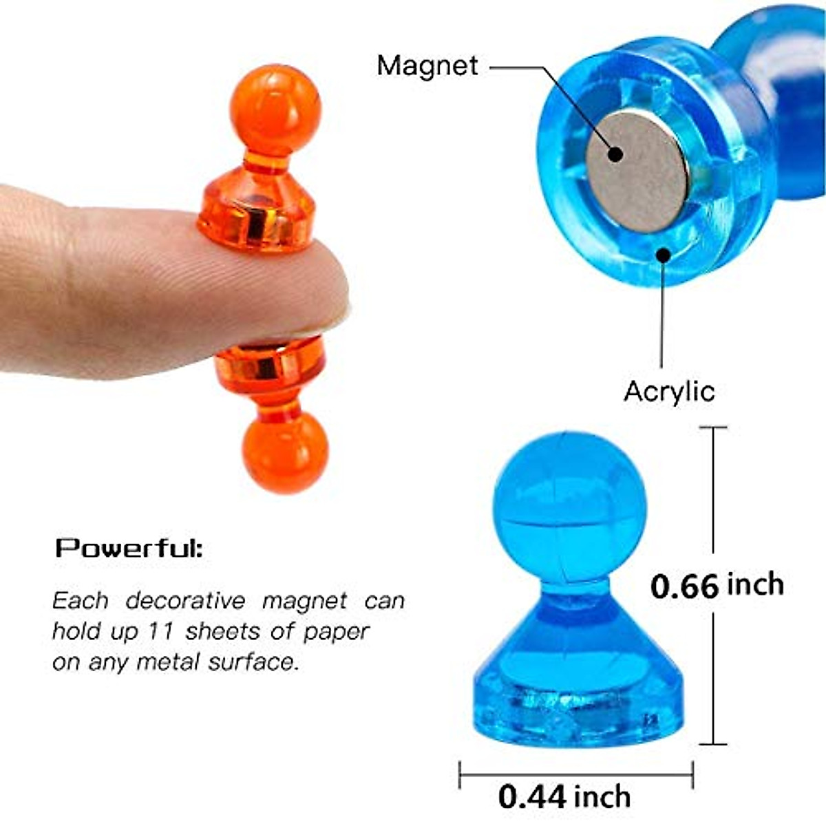 Colorful Push Pin Magnets - 64 Pack for Home & Office