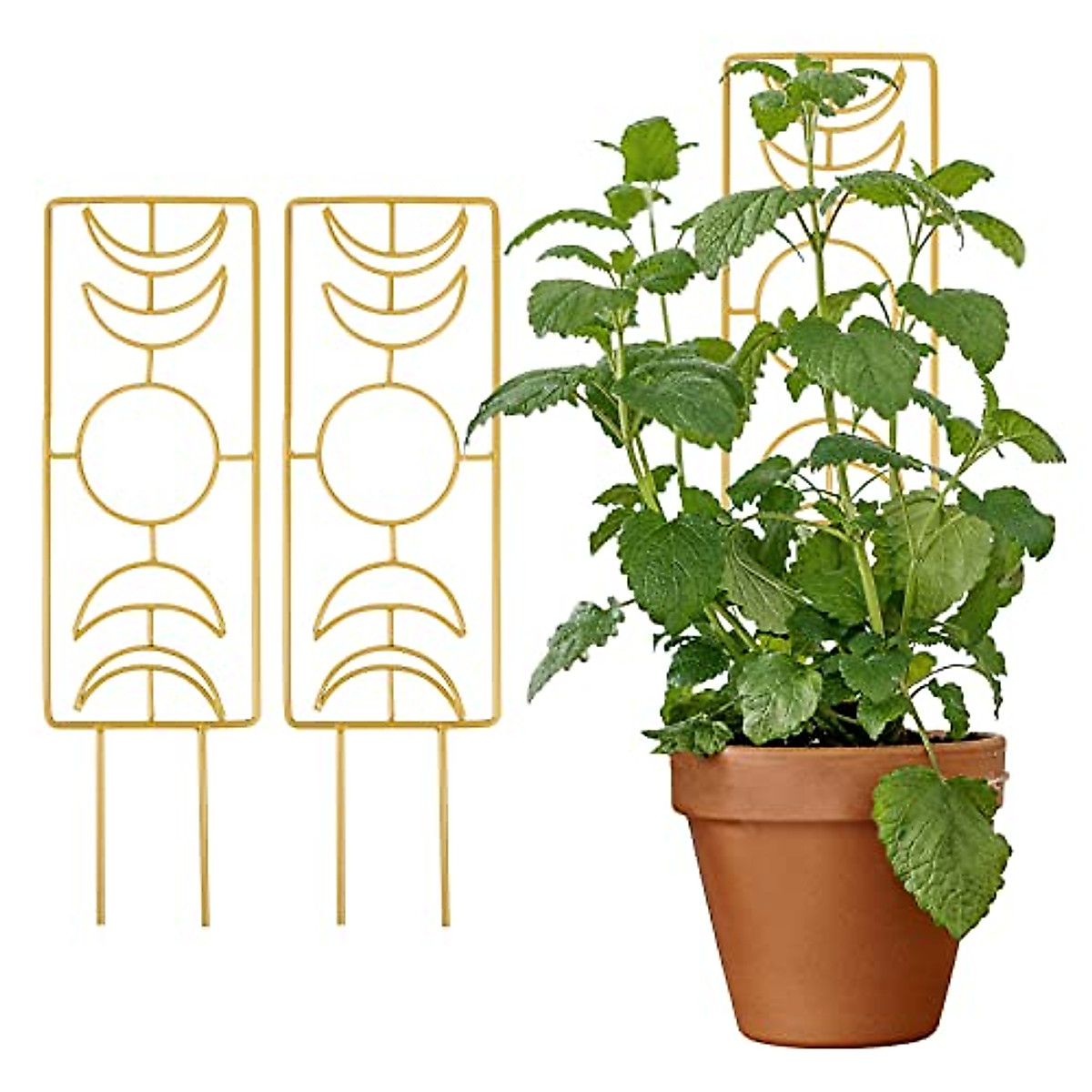 2 Pack Metal Plant Trellis for Climbing Plants Indoor,14 Inch Garden Small Trellis for Potted Plants,Moon Phase Houseplant Trellis for Pothos Monstera(Gold)