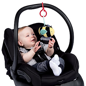 Manhattan Toy Cactus Garden Jet Bpa-Free Baby Toy with Jiggle Pull