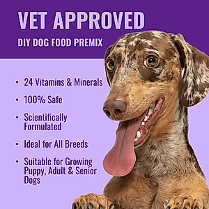 Dog Vitamins Supplements Raw and Homemade Dog Food Multivitamins Minerals Powder 1lb Veggie Flavor