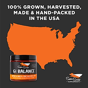 Super Snouts GI Balance Digestive Supplement for Dogs & Cats, 3.1 oz Pumpkin Powder for Dogs & Prebiotic Gut Health, Immune Support