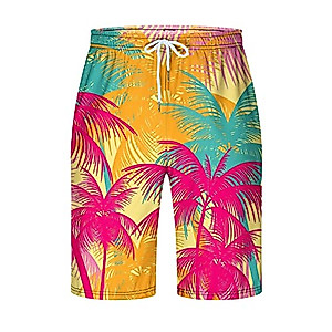 Mittory Mens Swimming Shorts Quick Dry Beach Trunks Elastic Waist Printed Hawaiian Swimwear Bathing Suits Rugs 8x10 Clearance Prime