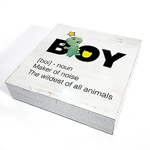 Dinosaur Nursery Wood Box Sign Baby Dinosaur Dino Boy Definition Wooden Box Sign Block Plaque for Wall Desk Home Boys Room Decoration