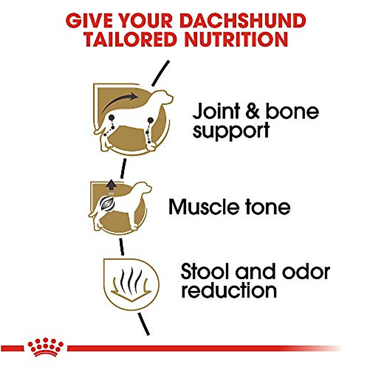 Royal Canin Dachshund Adult Breed Specific Dry Dog Food, 10 lb bag