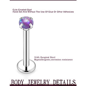 Jenxnjsjo Lip Rings Cartilage Earring 16g 6/8/10mm Medusa Monroe Ashley Labret Surgical Steel Flat Back Tragus Helix Conch Piercing Jewelry Earrings for Women Men