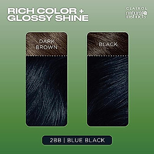 Clairol Natural Instincts Demi-Permanent Hair Dye, 2BB Blue Black Hair Color, Pack of 1