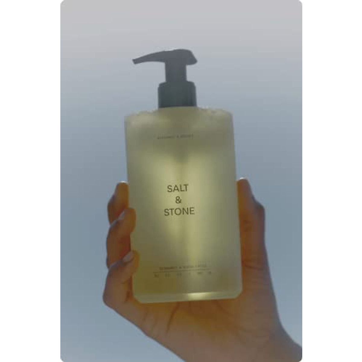 Salt & Stone Antioxidant-Rich Body Wash | Hydrating Gel Cleanser | Clean, Nourish & Soften Skin | Made with Niacinamide & Hyaluronic Acid | Free From Parabens, Sulfates & Pthalates (15.2 oz)
