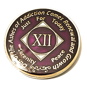 Recovery Line 12 Year NA Deep Purple & Gold Tri Plate Medallion -Chip, Coin, Token