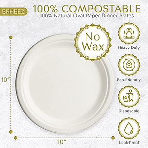 brheez 10 in. Disposable Plates Paper Plates Alternative Compostable Plates Heavy Duty [Pack of 60] Eco-Friendly 100% Natural Sugarcane Bagasse Fiber Biodegradable