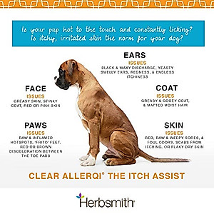 Herbsmith Clear Allerqi – Allergy Aid for Cats & Dogs – Pet Allergy Support – Anti Itch Pills for Dogs & Cats - 90 Tablet