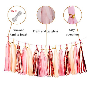 Andiker 15Pcs Tissue Paper Tassels, Shiny Tassel Garlands Banner Table Decor for Birthday Wedding Baby Bridal Shower Party Decorations (Pink)