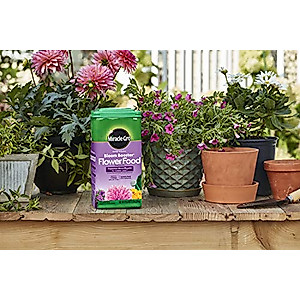 Miracle-Gro Water Soluble Bloom Booster Flower Food - Big Blooms for Vibrant Color, 5.5 lb.