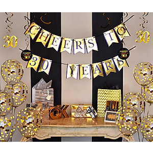 30th Birthday and Anniversary Decorations Party Pack - Cheers to 30 Years Banner, Balloons, Swirls and Confetti Party Supplies
