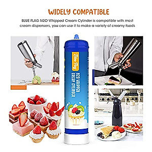 BLUE FLAG 580G N2O Whipped Cream Cylinder Charger High Capacity Pure N2O Nitrous Tank Compatible with Cream Whippers, 2 Pack