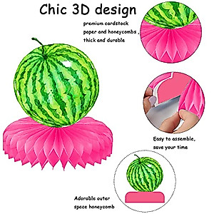 10 Pcs Watermelon Party Supplies One in a Melon Honeycomb Centerpieces for Summer Fruit Party Decorations Pink Watermelon Table Honeycomb for Birthday Wedding Party Baby Shower Supplies Favors