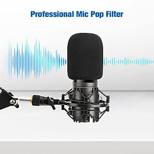 AT2020 Shock Mount with AT2020 Pop Filter, Microphone Shock Mount Compatible for Audio Technica AT2020 AT2035 ATR2500 Microphone by WIBOND
