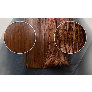 Hemp Hydrating Shampoo and Conditioner Set - 16 oz, For Men and Women - Color Treated Hair, All Natural - Sulfate Free - Curly or Frizzy Hair - Made with Herbal and Hemp Extract