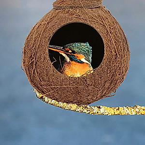 balacoo 3 pcs Coconut Shell Bird Nest Reptile Hanging Hideout Bird House Bird bite Shell House Coco Finch hut Gecko Coco hut Birds Nest Parrot Toy Bird cage Stainless Steel The Bird's nest