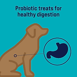 Stewart Freeze Dried Dog Treats, Healthy Gut Chicken & Vegetable, Gut Health Probiotics, Grain Free, 8 Ounce Resealable Pouch, Made in USA