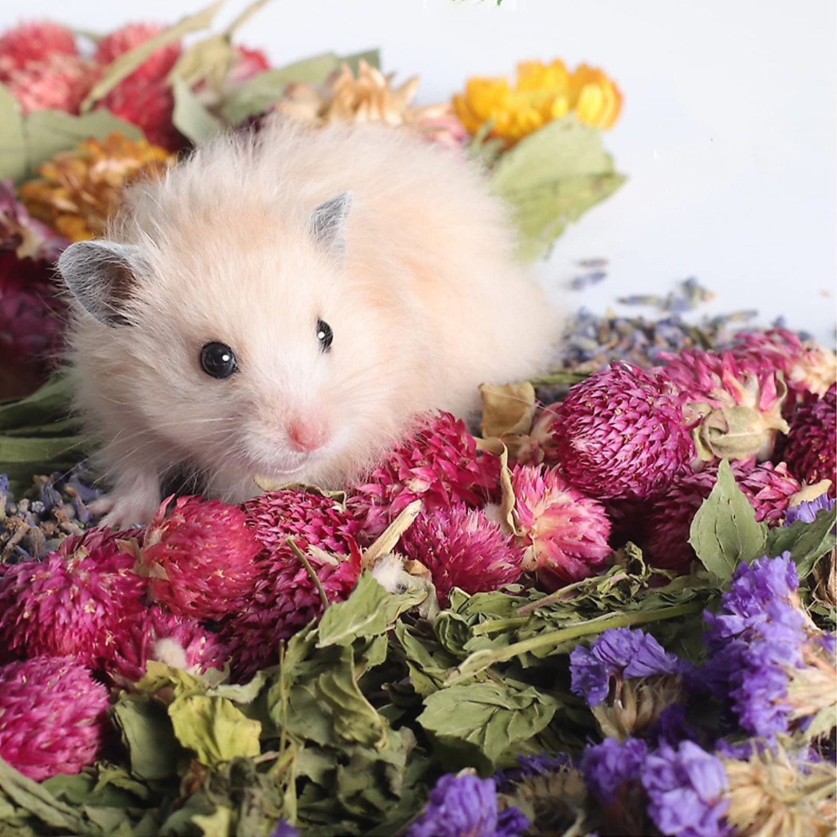 Hamster Bedding, Natural Soft Dried Flowers Bedding, Small Pet Litter Habitat Mat Edible Treat for Guinea Pigs Rabbits Gerbils Rats Squirrels Chinchillas (Dried Flowers)