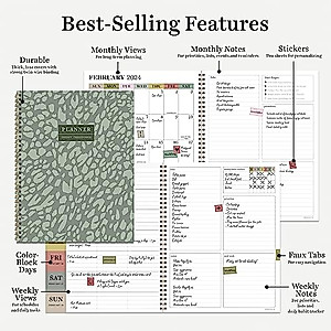 TF PUBLISHING 2024 Wild Sage Large Weekly Monthly Planner | Monthly Life Planner for Women with 2 Page Spreads | 12 Month Calendar and Planning Prompts | Planner for School or Work | 9"x11"