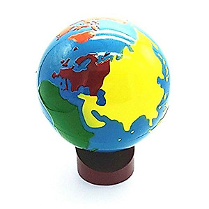 Danni Baby Earth Globe Toys Montessori Earth Globe Plastic and Wood Material Learn to Know World Children Early Learning Teaching Aids (White)
