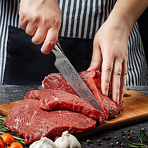 YeShef 8 Inch Japanese Chef Knife - Professional Stainless Steel Kitchen Knife, Chef's Knives with Ergonomic Handle - Strong, Sharp Edge - Tool for Cutting, Carving, Slicing - Luxury Gift Box