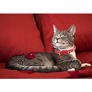 BoomBone 2 Pack Valentines Day Cat Collar Breakaway,Safety Adjustable Collars with Bell for Kitten