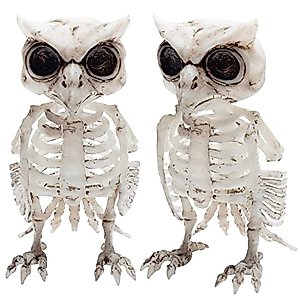 SCS Direct Owl Halloween Skeleton (2 Pack)-6.5" Long Weather Resistant Yard Fall Decorations-Graveyard Prop for Haunted House Party Decor and Indoor/Outdoor Use, School Classroom Decoration