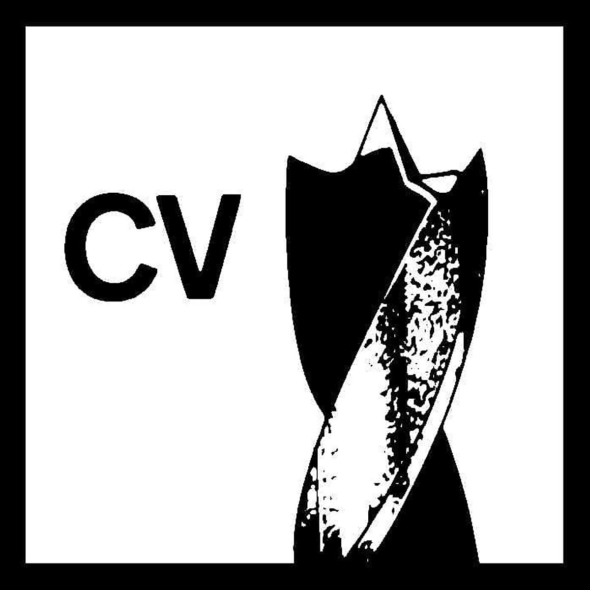 Bosch 2608597202 Wood Standard Drill Bit, 18mm x 130mm x 180mm