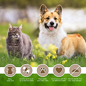 Petkin Mega Val-Pak Pet Wipes, 125 Wipes - Oatmeal Pet Wipes for Dogs and Cats - for Face, Paws, Ears, Body and Eye Area - Super Convenient Dog Cleaning Wipes, Ideal for Home or Travel - Easy to Use