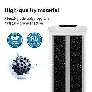 Waterspecialist FXHTC Whole House Carbon Water Filter, Replacement for GE FXHTC, GXWH40L, GXWH35F, Culligan RFC-BBSA, American Plumber W10-PR, W10-BC, WRC25HD, 10" x 4.5", 5 Micron, Pack of 2
