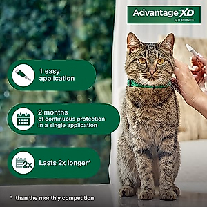 Advantage XD Large Cat Flea Prevention & Treatment For Cats over 9lbs. | 1-Topical Dose, 2-Months of Protection Per Dose