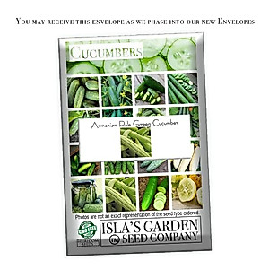 Armenian Pale Green Cucumber Seeds for Planting, 100+ Heirloom Seeds Per Packet, (Isla's Garden Seeds), Non GMO Seeds, Botanical Name: Cucumis sativus, Great Home Garden Gift