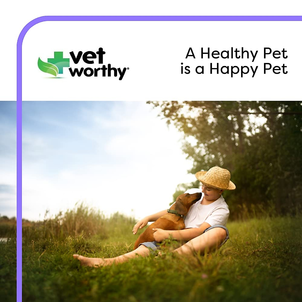 Vet Worthy Stop Stool Ingestion - Daily Supplement for Dogs to Prevent Stool Eating - Dog Supplement with Yucca Schidigera, Parsley Leaf, Chamomile, Thiamine - Liver Flavor, 60 Chewable Tablets