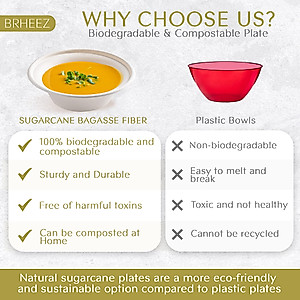 brheez 16 Ounce Disposable Bowls Paper Bowls Alternative Compostable Bowls Heavy Duty [Pack of 60] Eco-Friendly 100% Natural Sugarcane Bagasse Fiber Biodegradable