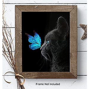 Cat Wall Decor - Butterfly Wall Decor - Blue Butterfly - Black Cat - Cat Gifts for Women - Cute Cat Poster - Cat Posters for Girls Bedroom - Cat Lover Gifts - Cat Wall Art - Butterfly Wall Art